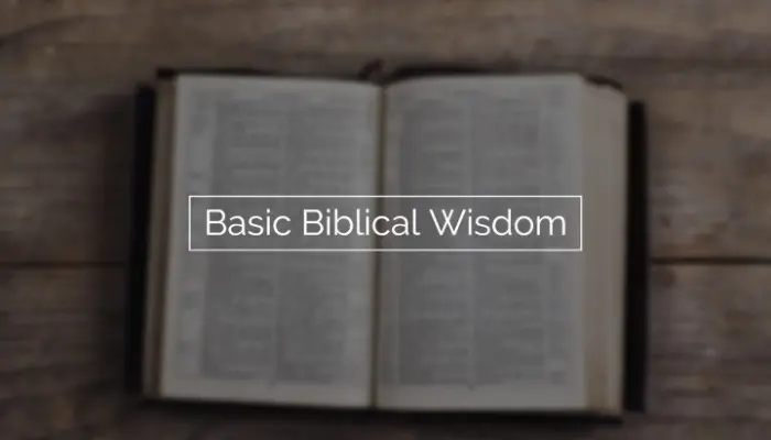 Basic Biblical Wisdom - Independent Baptist Online College